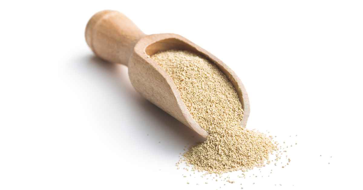 Mengenal Apa itu Ragi dan Jenis-Jenisnya untuk Membuat Roti - Richs ...